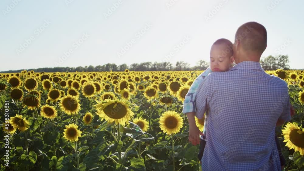 Caring father stands on large sunflower field holding little son with ...