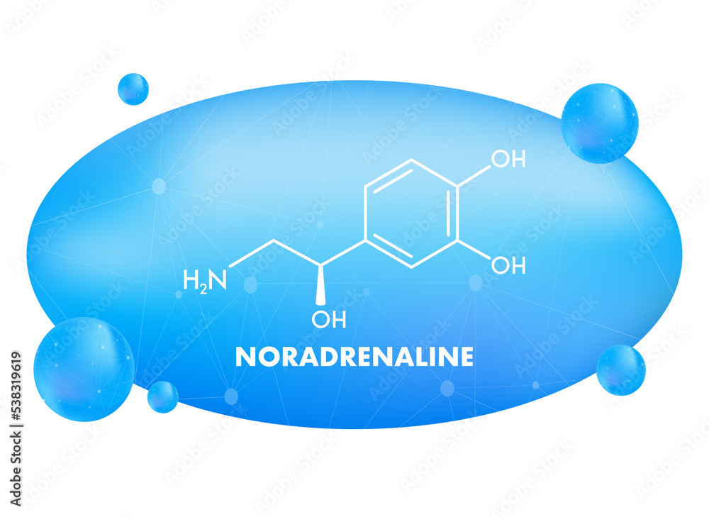 Noradrenaline concept chemical formula icon label, text font vector ...