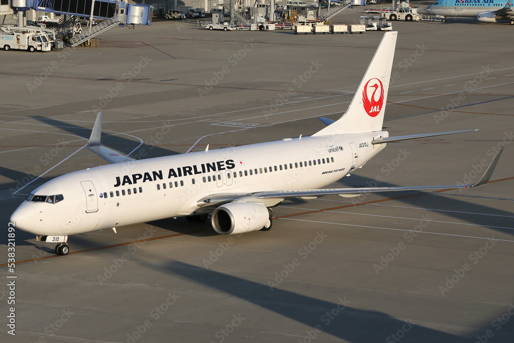 Japan Airlines JAL Boeing 737-800 airplane at Nagoya Chubu Centrair Airport in Japan Stock Photo ...
