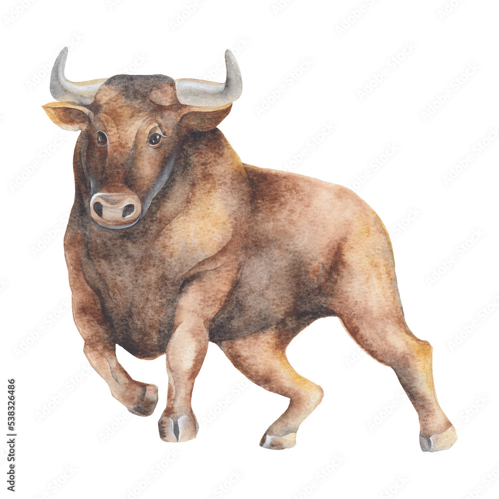 Transparent Background ox Illustration Png. Transparent Clipart Image ...