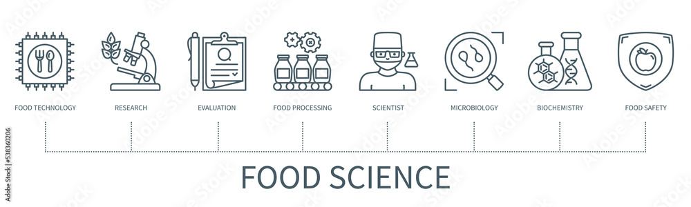 Food science vector infographic in minimal outline style Stock Vector ...