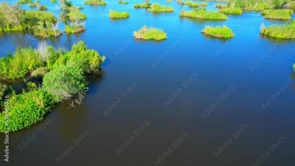 Drones are flying over large wetlands, various aquatic plants, wetlands ...