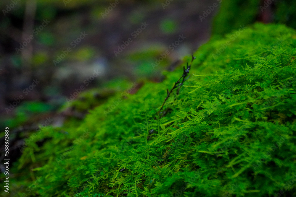 Akuba touge, Mount Mitake ,Nabewari, Okutama, Tokyo, Japan Stock Photo ...