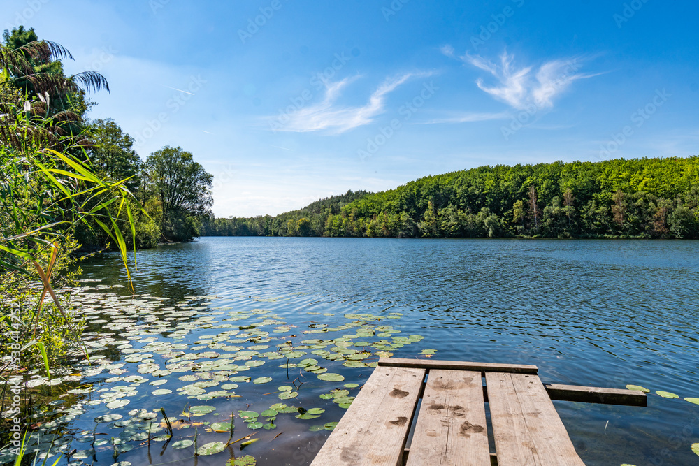 water lilies and boardwalk at Untersee or lower lake of the ville chain ...