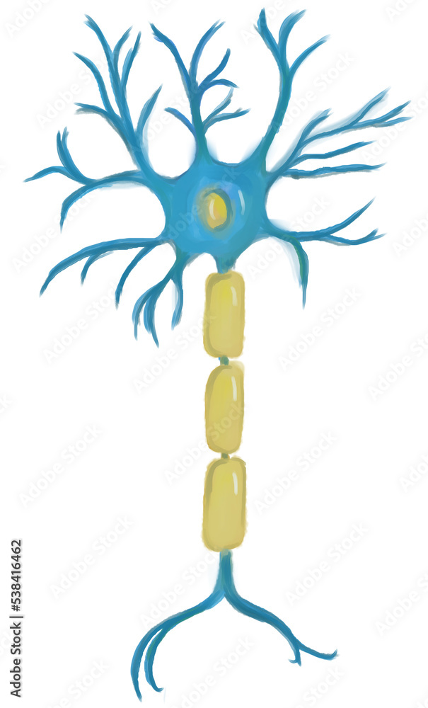Hand drawn watercolor clipart of a brain cell neuron in blue and yellow ...