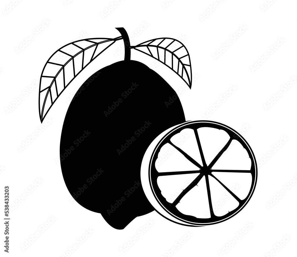 Black and white Lime fruit vector design.Best graphic resources ...
