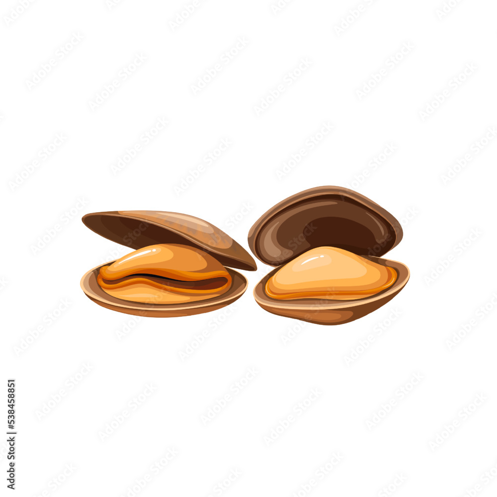 Mussels vector illustration. Cartoon isolated two shellfish marine ...