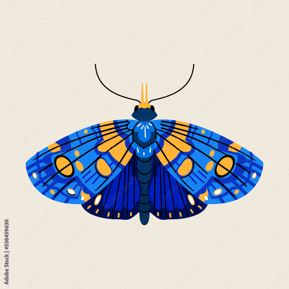 Cute blue moth with beautiful wings. Summer butterfly Vector insect ...