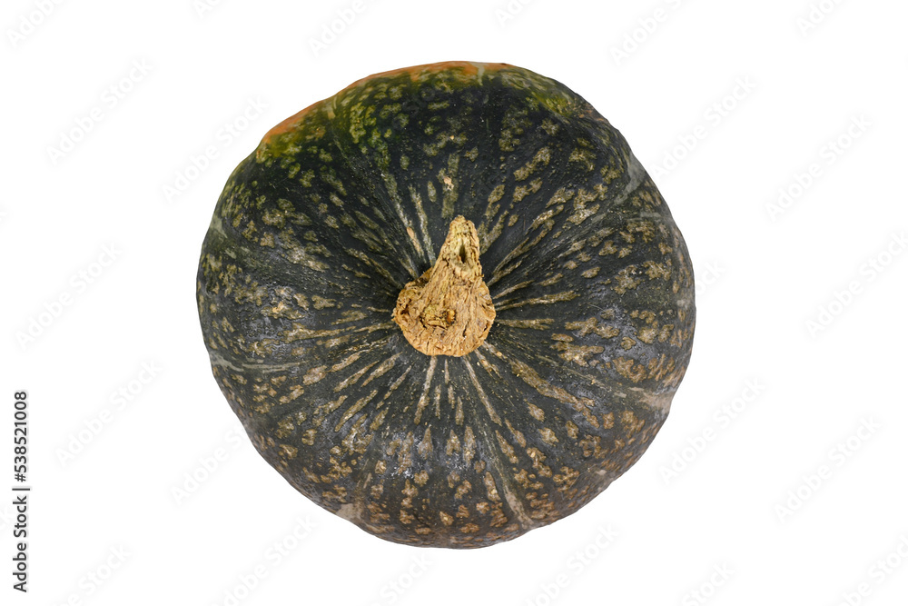 Top view of green Kabocha Hokkaido squash on transparent background ...