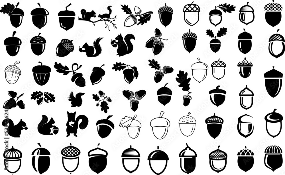Acorn Vector SVG Bundle, Acorn Clipart Fall SVG Cut Files SET 04 Stock ...