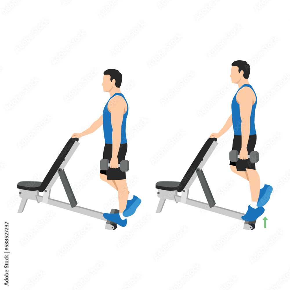 Man doing Standing calf raise with dumbbell exercise. Flat vector ...