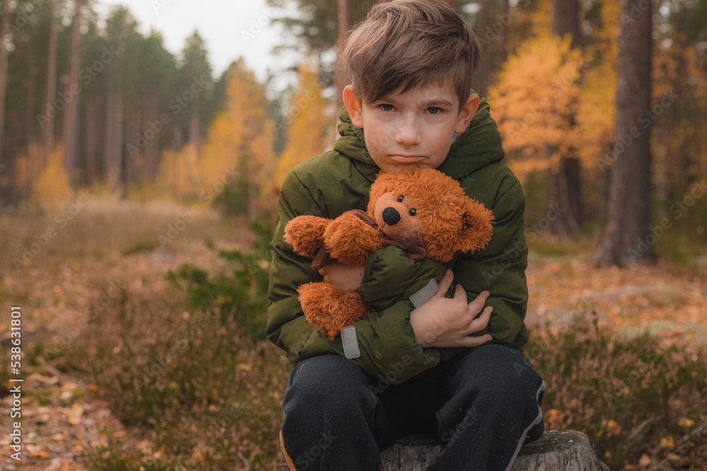 Child alone in the forest with a teddy bear. A boy in solitude in an ...