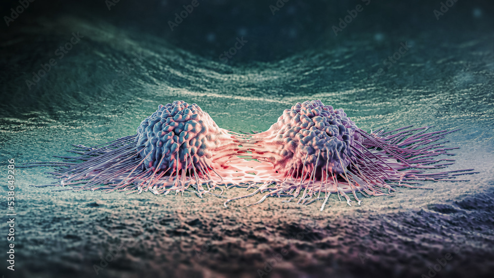 Cancer cells mitosis or proliferation 3D rendering illustration ...