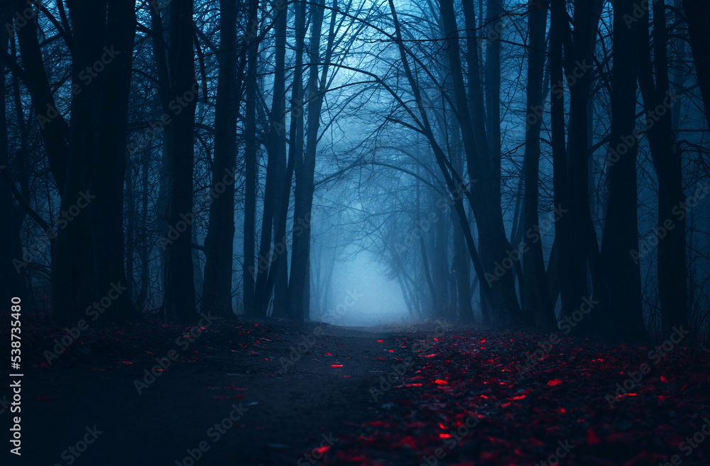 Mysterious road. Fairy Forest. Mystical atmosphere. Paranormal another ...