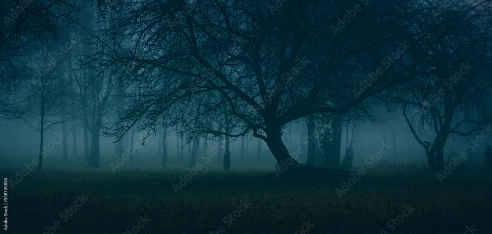 Strangers park. Mysterious fairy forest. Dark fantasy wallpaper ...