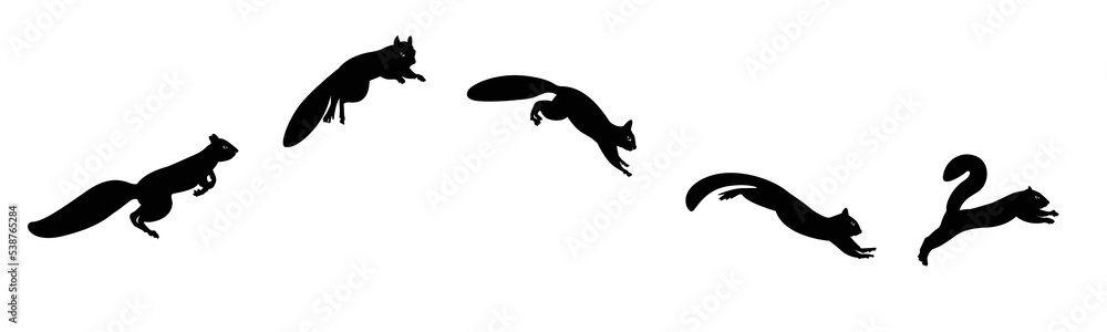Running Squirrel Silhouette