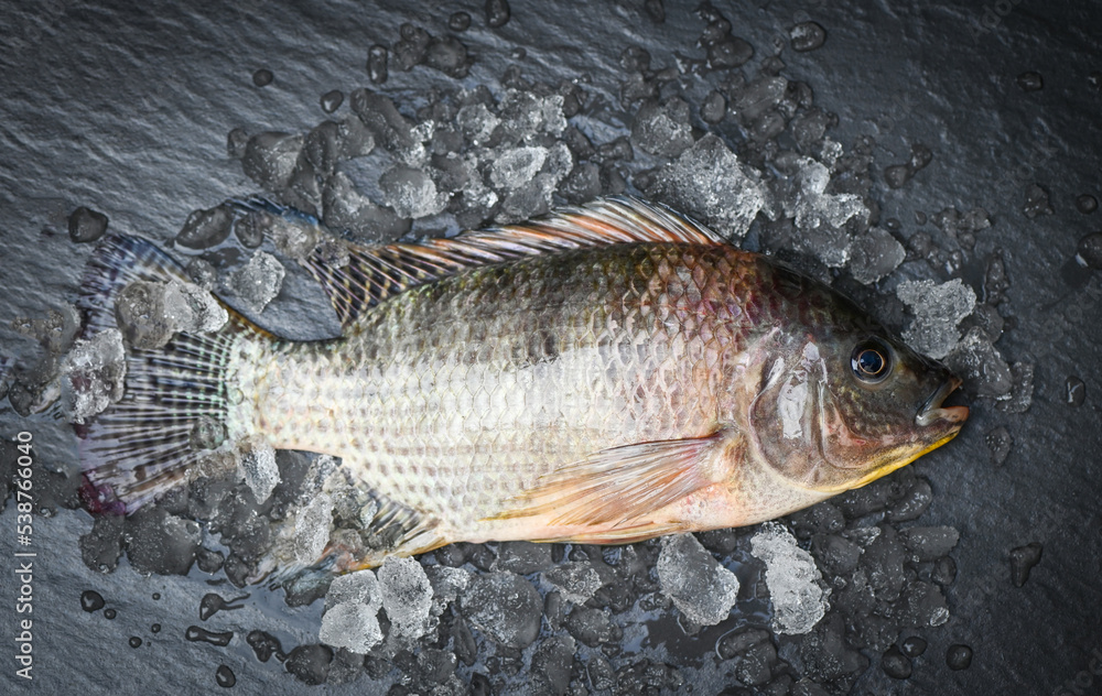 Tilapia with ice on dark background, Fresh raw tilapia fish from the ...