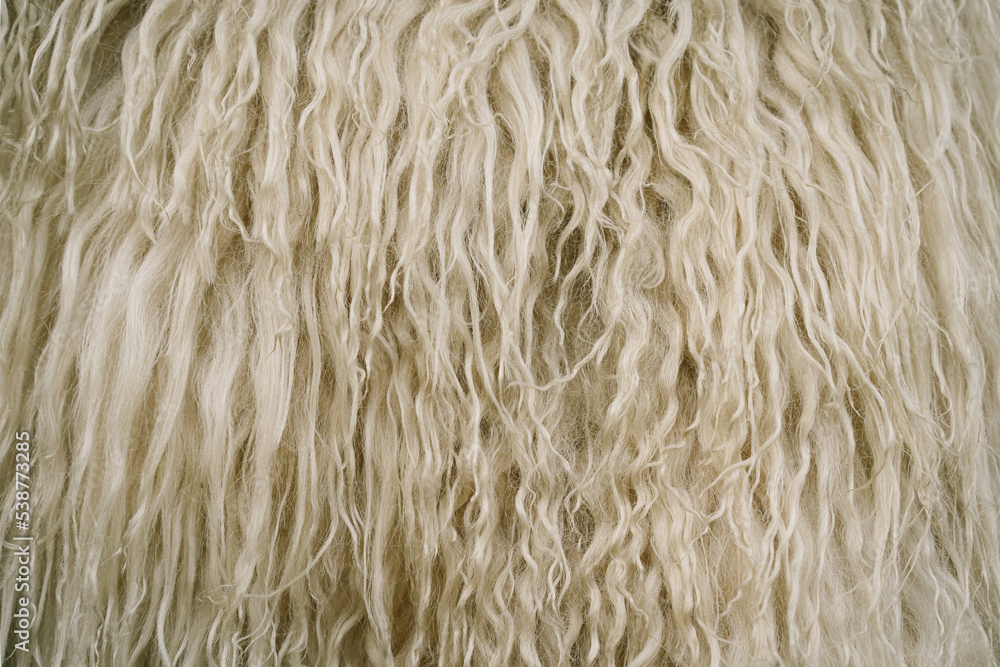 Sheep skin texture. Sheepskin Background. White wool texture background ...