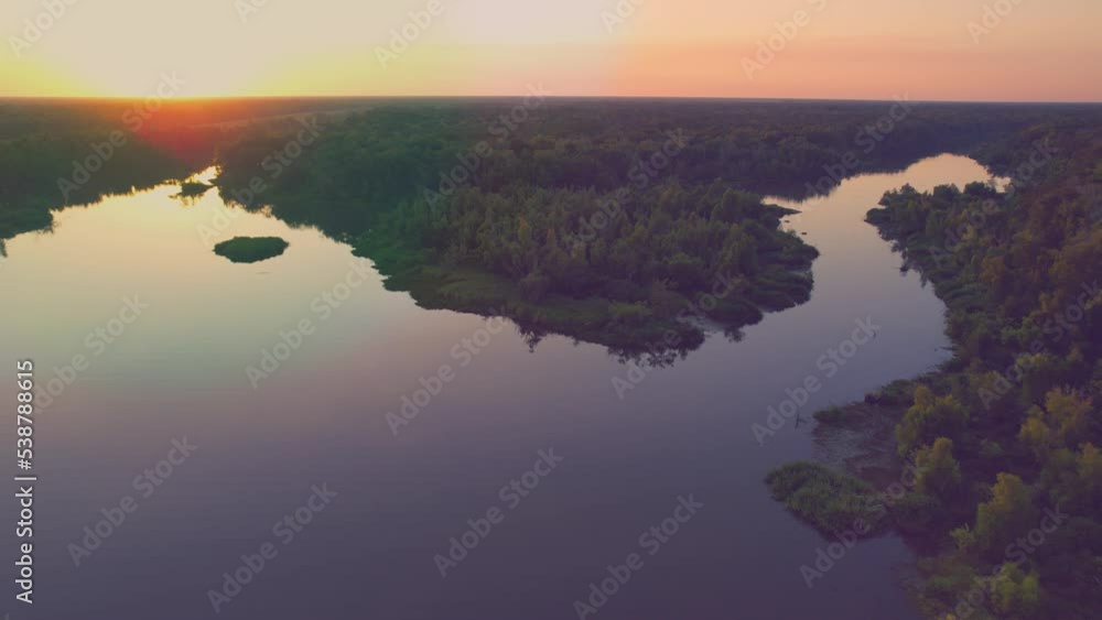 Louisiana swamp bay bayou cypress trees sunset steady shot Stock Video ...