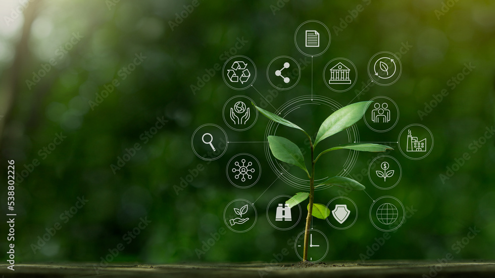 ESG icon concept with small tree for environmental, social, and ...