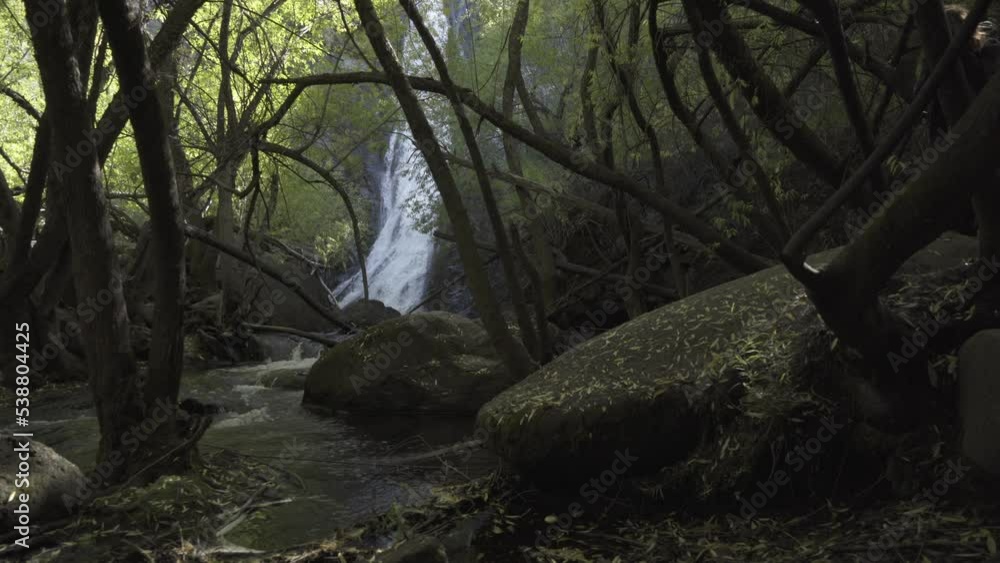 Small creek in the middle of a forest with waterfall as background ...