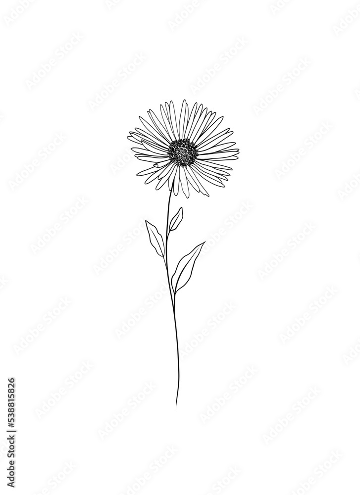 Aster flower, tattoo design, simple flower design, sticker design ...
