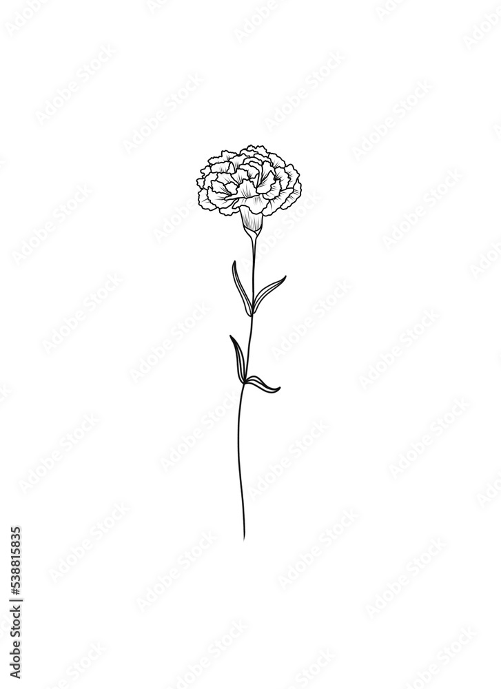 Carnation flower tattoo design, simple line art Stock Illustration ...