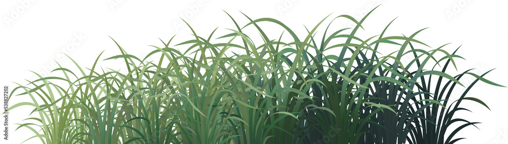 green grass transparent background with gradient Stock Illustration ...