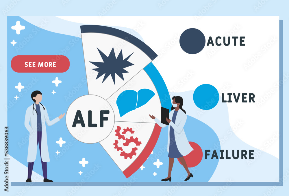 ALF - Acute Liver Failure acronym. business concept background. vector ...
