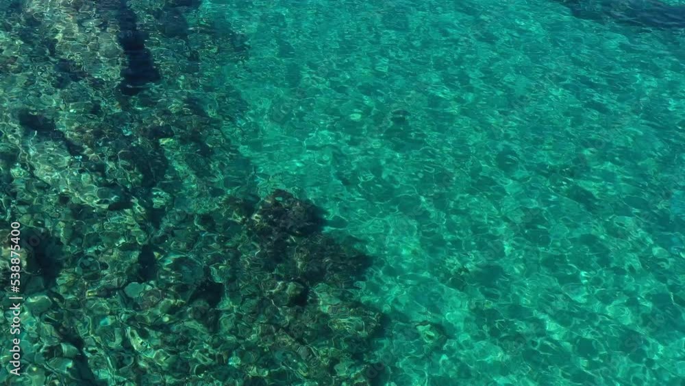Fondo del Mar Mediterraneo Erizos de Mallorca Aguas transparentes Cala ...
