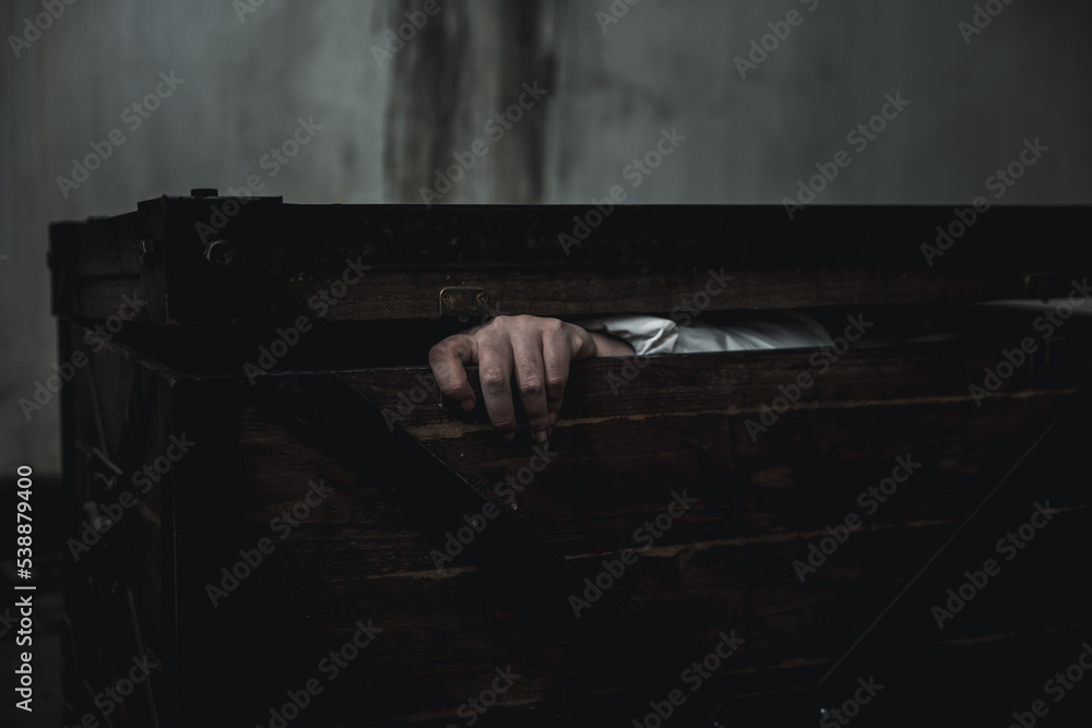 Horror ghost woman. Asian ghost horror creepy scary have hair covering ...