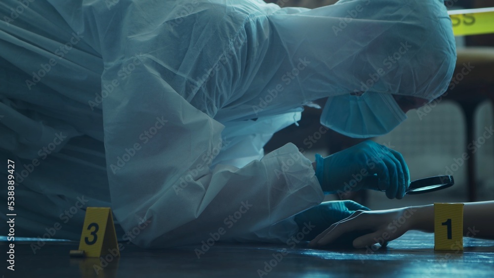 Detective Collecting Evidence in a Crime Scene. Forensic Specialists ...