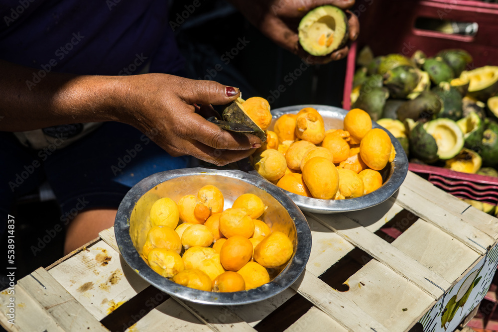 Two basins full of peeled pequi and the hand of the woman who peels the ...