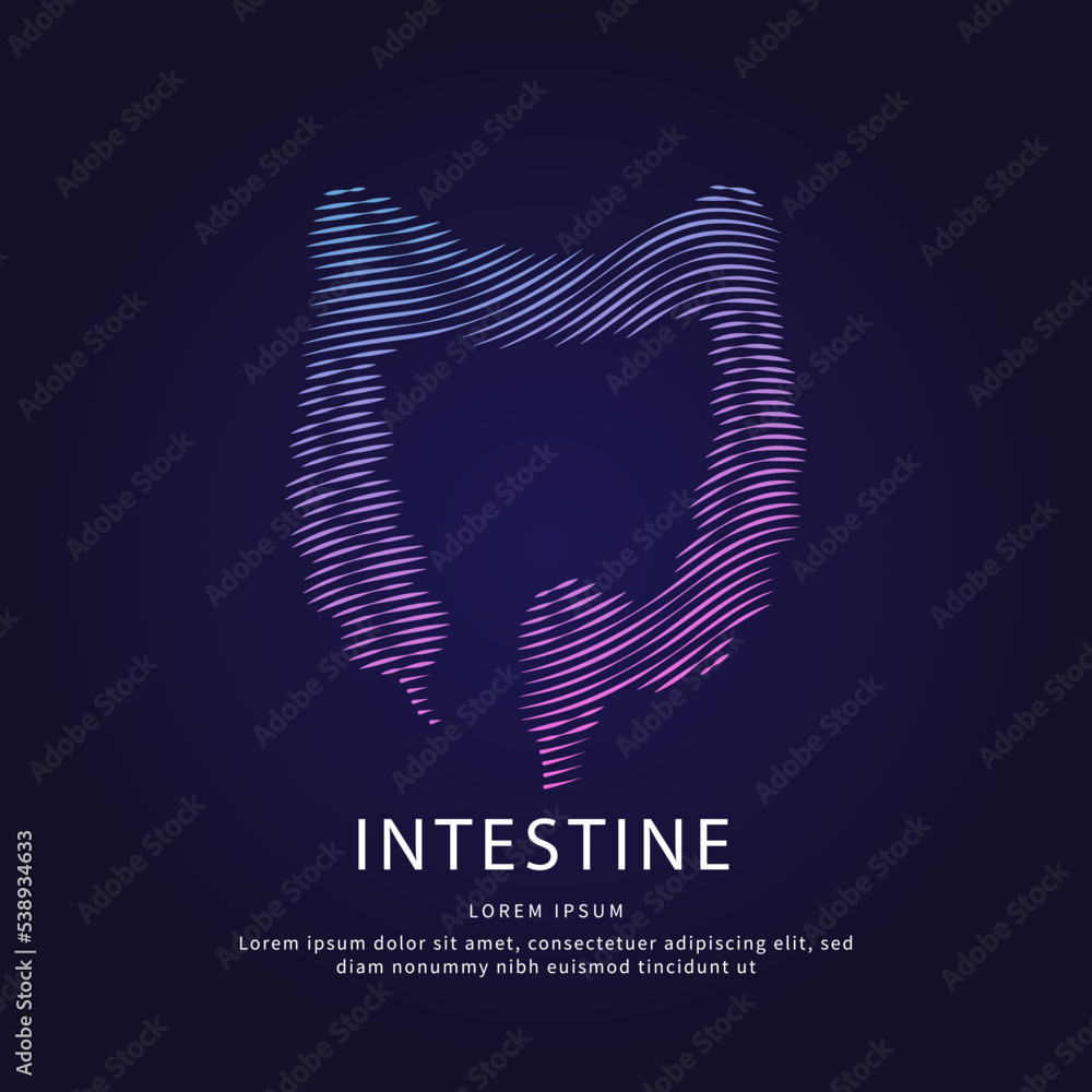Human Intestines medical structure. Vector logo Intestines color ...