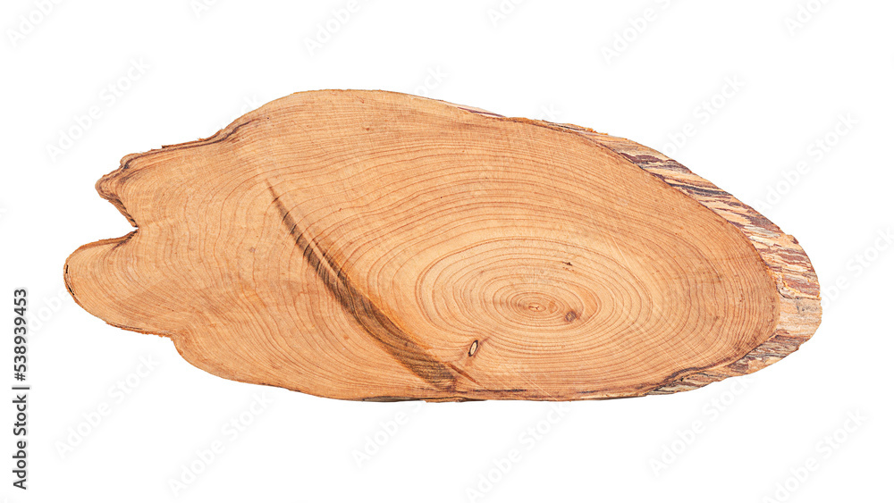 Wood slice on a white background isolated. Oval piece of wood cross ...