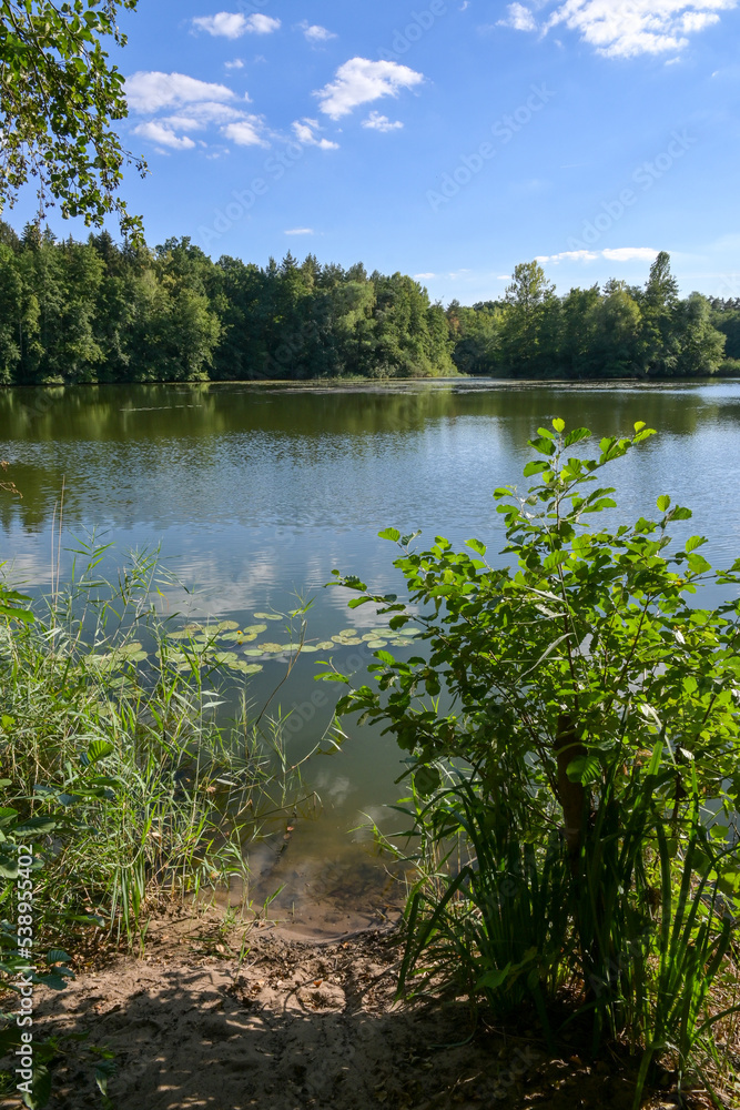 Blick auf einen kleinen See im Wald bei Grafenrheinfeld und Röthlein, Schweinfurt, Franken ...