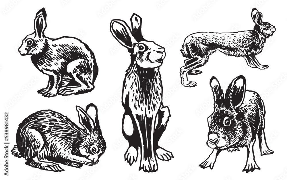Graphical set of bunnies isolated on white background,vector ...