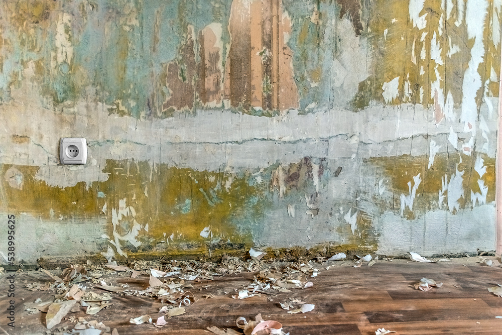 Pieces of paper wallpaper and rubbish are scattered on the floor near a ...