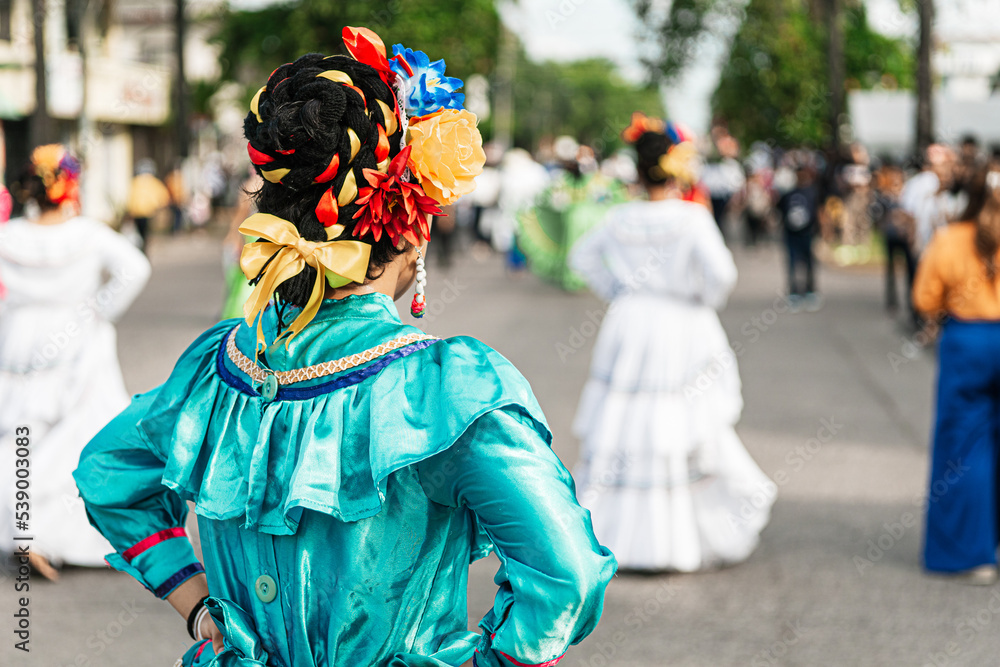 Indigenous woman in traditional clothing. Honduran folklore and daily ...