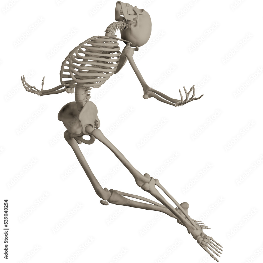skeleton posing 3d render illustration Stock Illustration | Adobe Stock