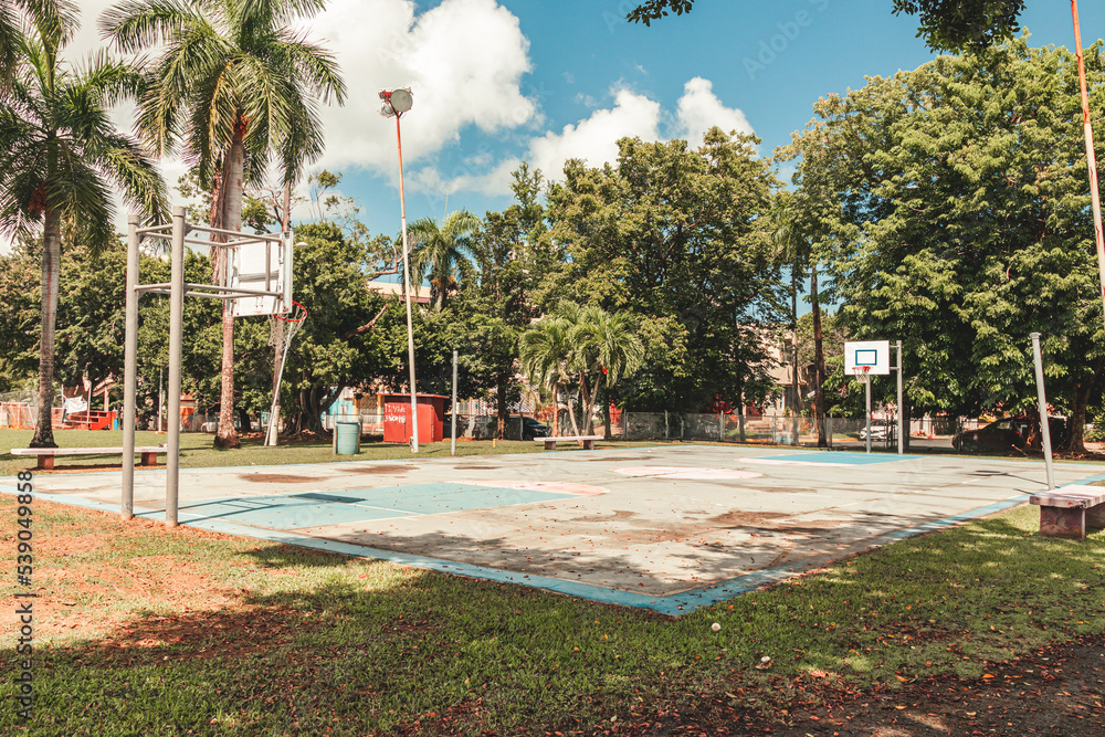 Simple street urban basketball court portrait from "parque la merced ...
