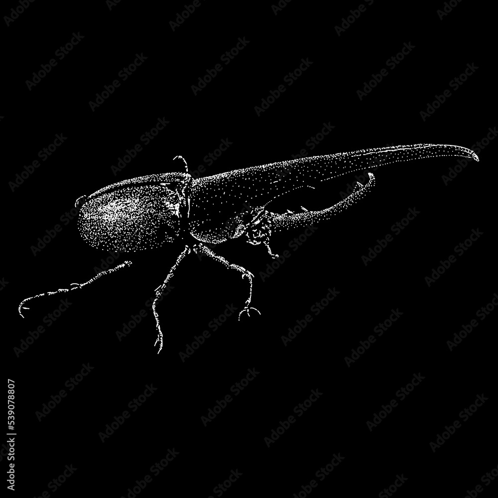 Hercules Beetle hand drawing. Vector illustration isolated on black ...