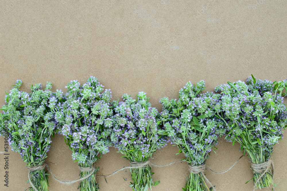 Creeping thyme. Bouquets of thyme on table, top view. Collection ...