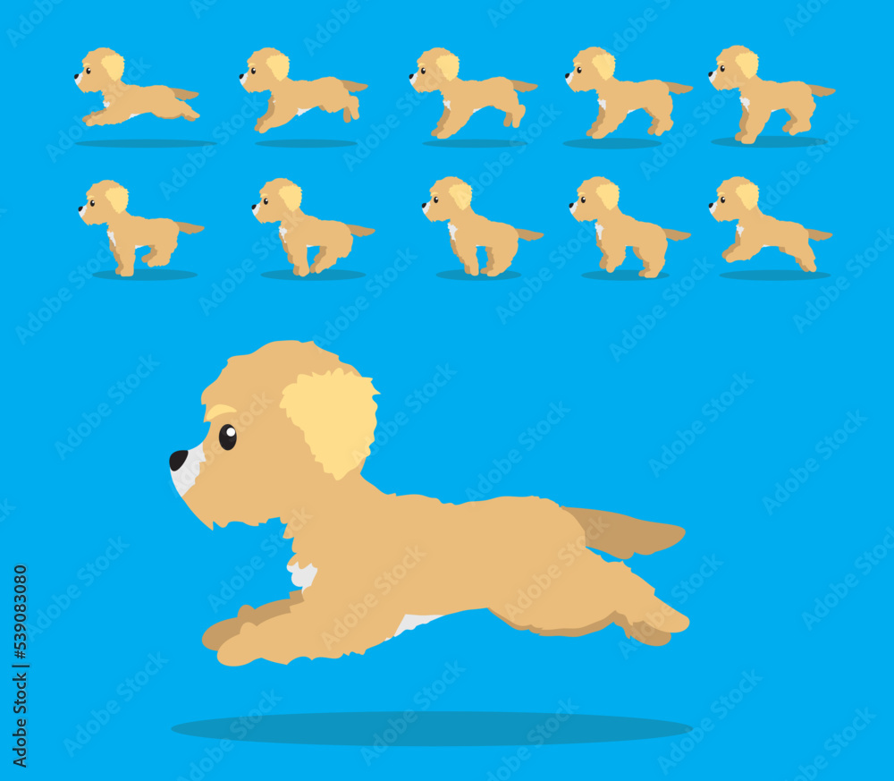 Animal Animation Sequence Dog Goldendoodle Cartoon Vector Stock Vector ...