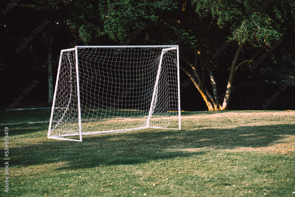 Football goal put on the grass field without people in the park. A mini ...
