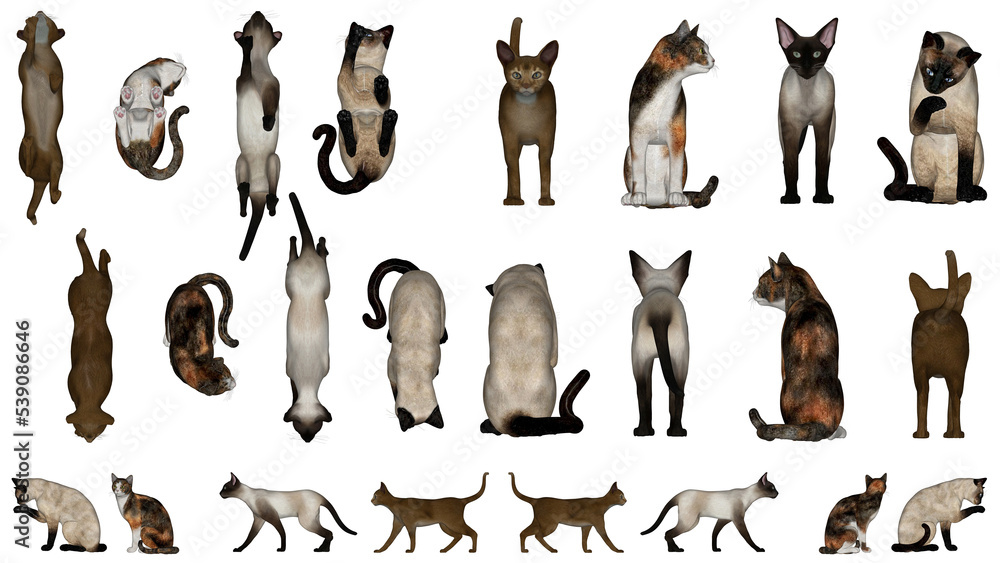 3D High Poly Cats - SET1 Color - Parallel Views Stock Illustration ...