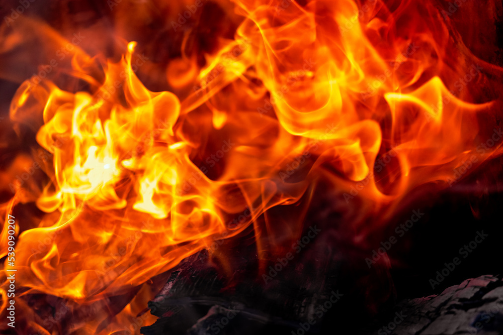 Burning fire close up. Bright orange and red flames on a dark ...