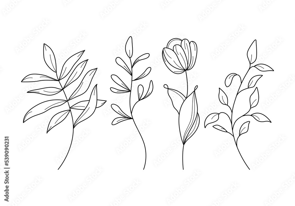 Continuous One Line Leaves Branch Set. Abstract Line Art of Flower with ...