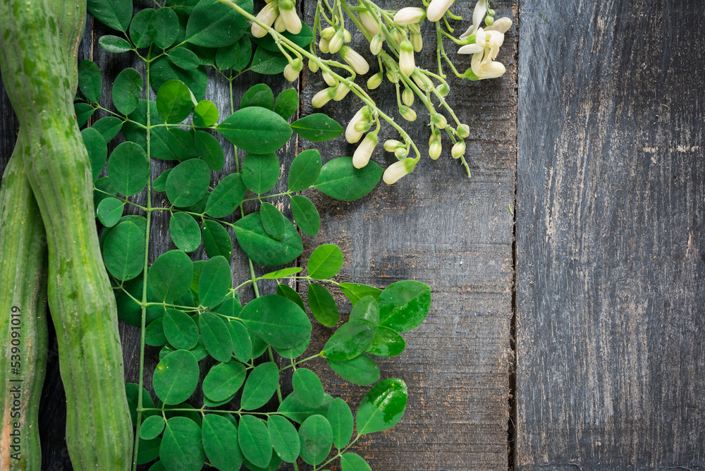 Moringa, Moringa oleifera leaves, Moringa seed,flowers and leaves of ...