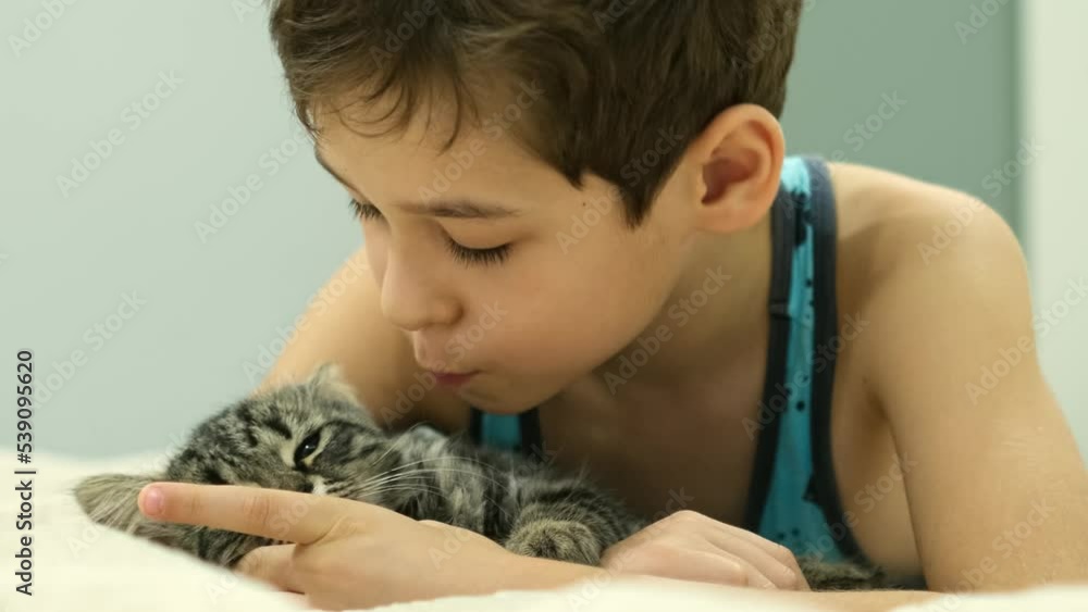 boy kisses the kitten lying on the bed in the living room. Stock Video ...